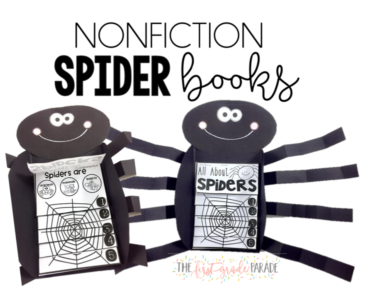 Spider Week - Cara Carroll