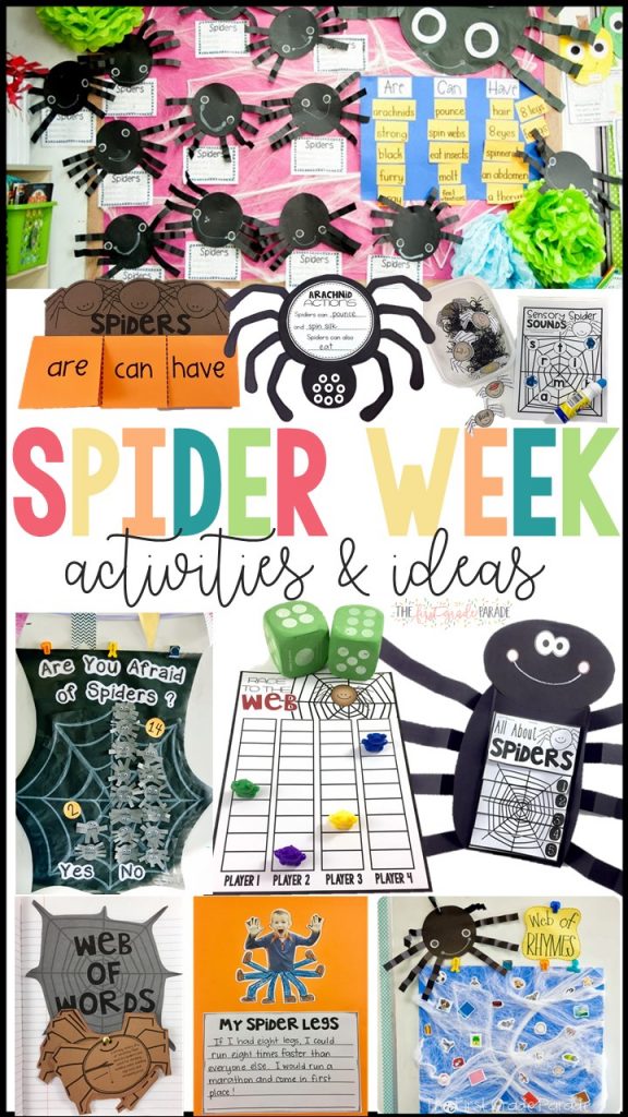 Spider Week - Cara Carroll