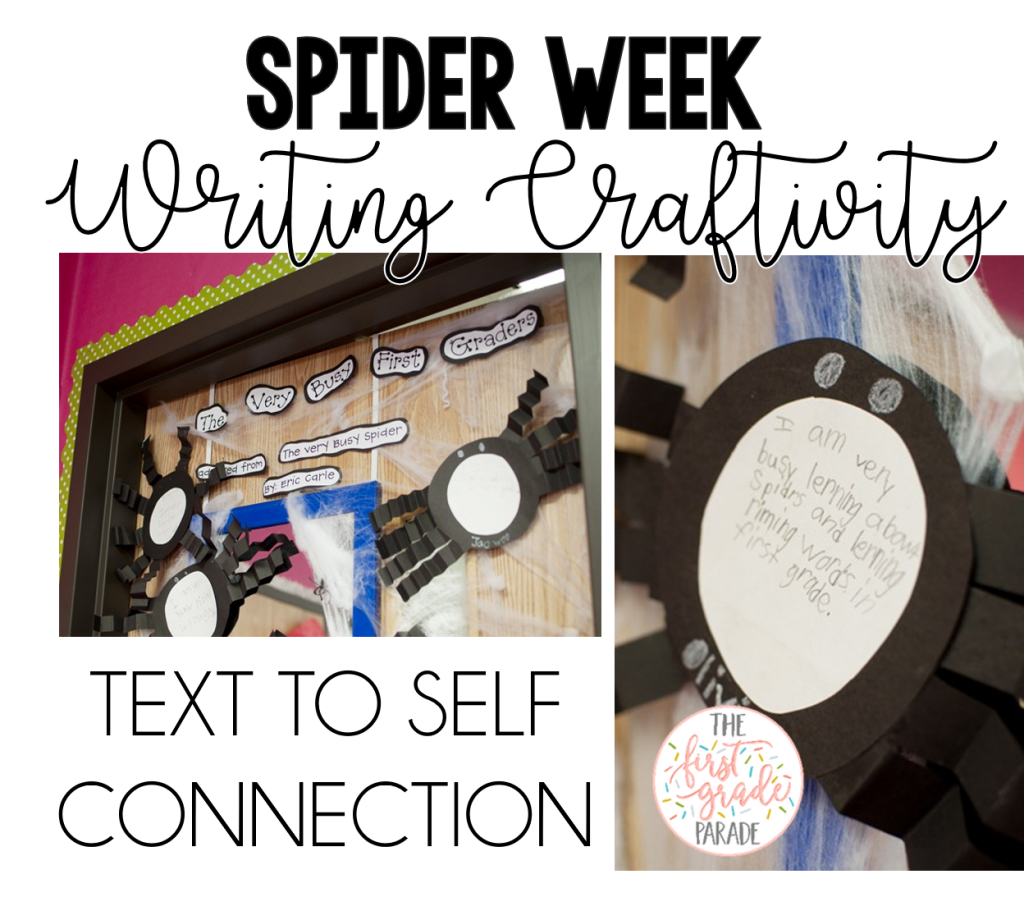 Spider Week - Cara Carroll