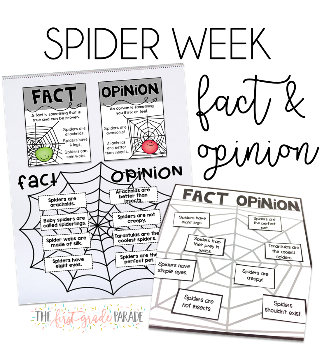 Spider Fact and Opinion - Cara Carroll