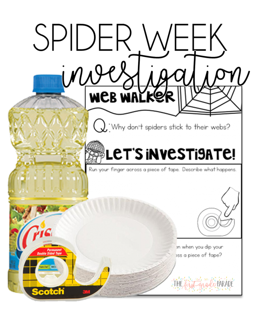 Spider Week - Cara Carroll