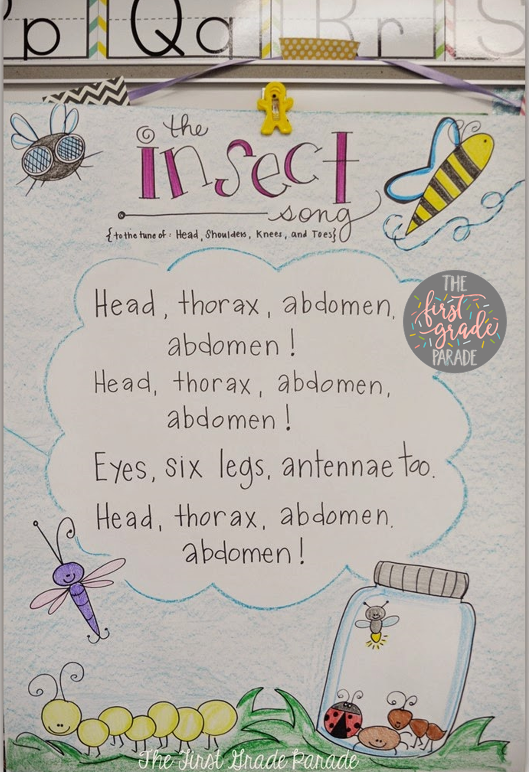 All About Insects - Part 1 - Cara Carroll